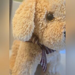 Ty | Toys | Ty Classic Goldwyn Dog Puppy Golden Retriever Plush Stuffed ...
